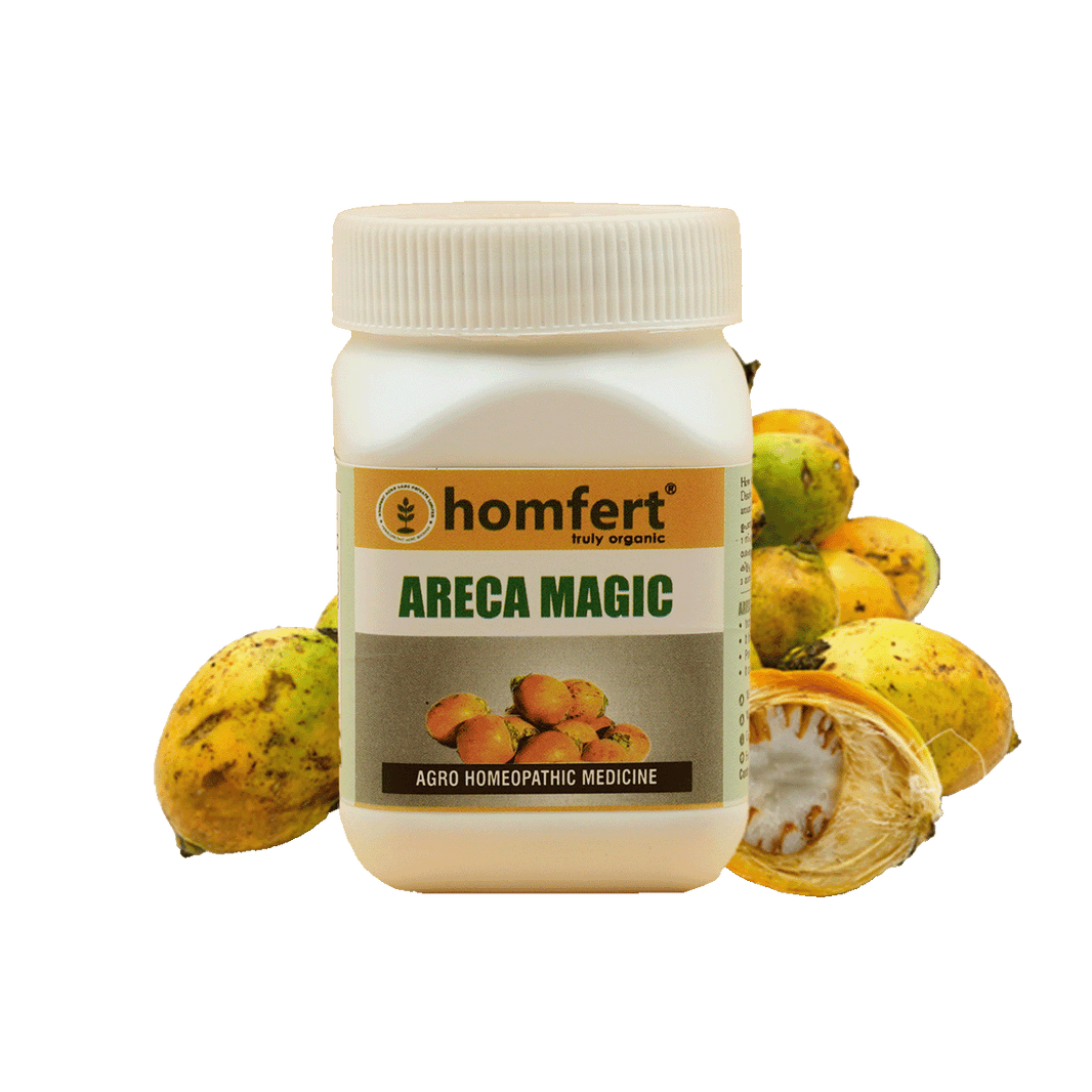 All Products – Homfert