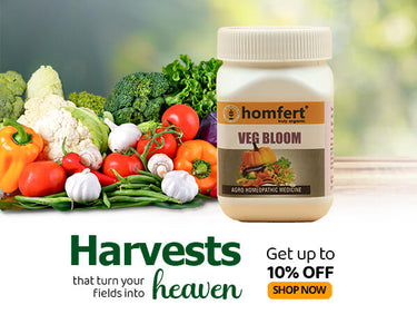 Homfert: Natural Homeopathic Fertilizers for Thriving Plants